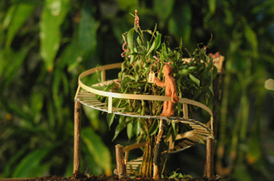 Positive Design: An Introduction to Design for Subjective Well-Being